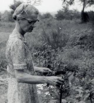 White Fruit Cake, Ada Moore's - FoodNotes